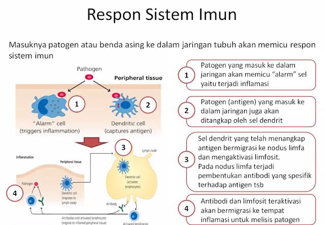 Imugard Imunomodulator Alami untuk Daya Tahan Tubuh - Riska Ngilan