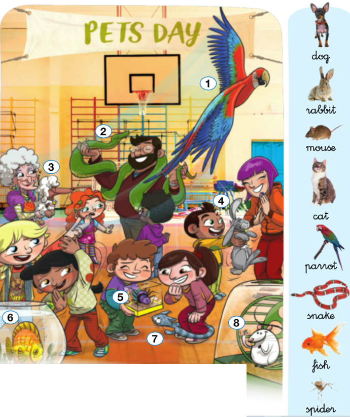 ️ OUR ENGLISH BLOG ️: UNIT 3: POPULAR PETS