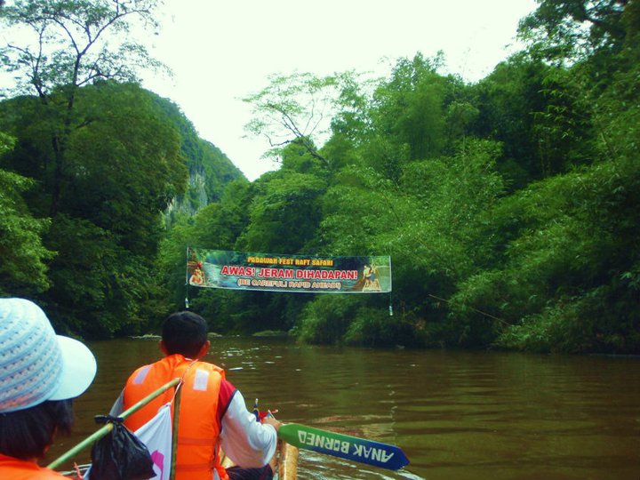 Cats City Hornbill Land: PADAWAN FEST RIVER SAFARI