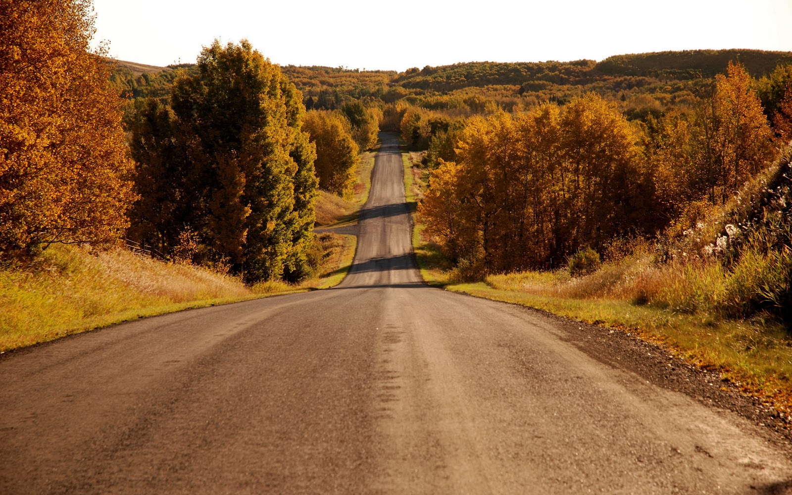 Endless Autumn Road HD Wallpaper ~ The Wallpaper Database