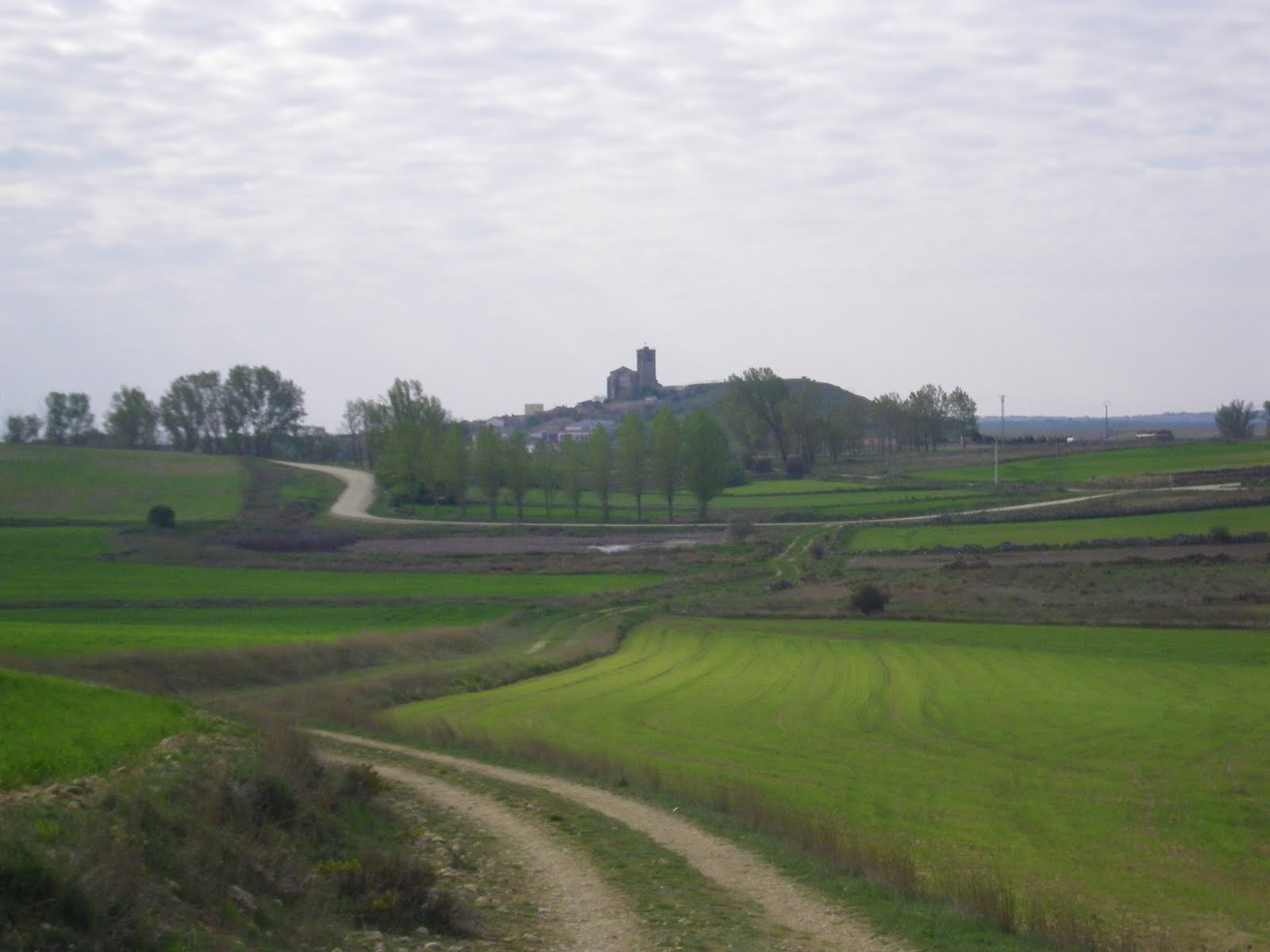 Histórico de Noticias de Baraona