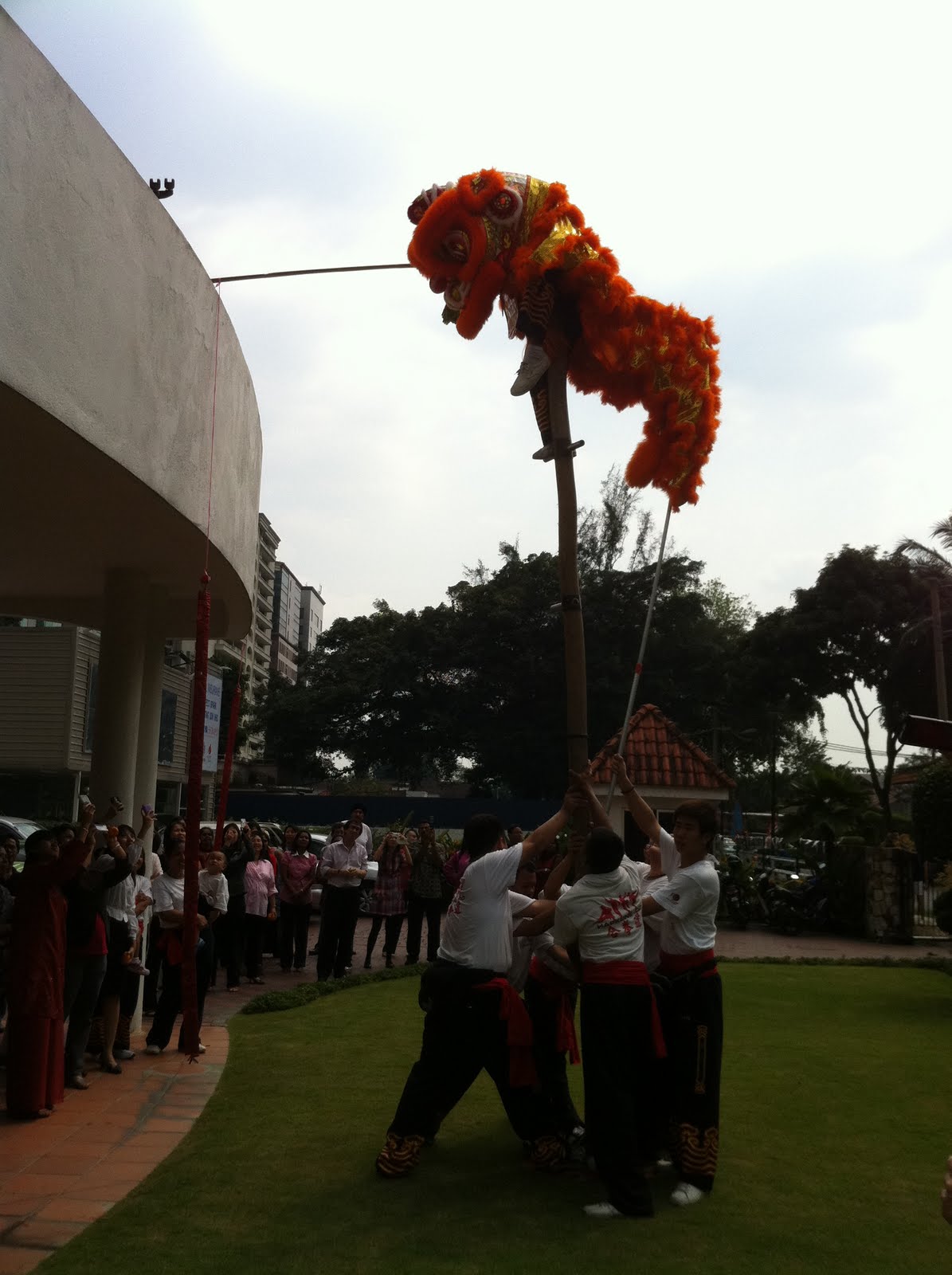 Event DirecTus: LION DANCE PERFORMANCE, LION DANCE STUNTS SHOW, LION ...