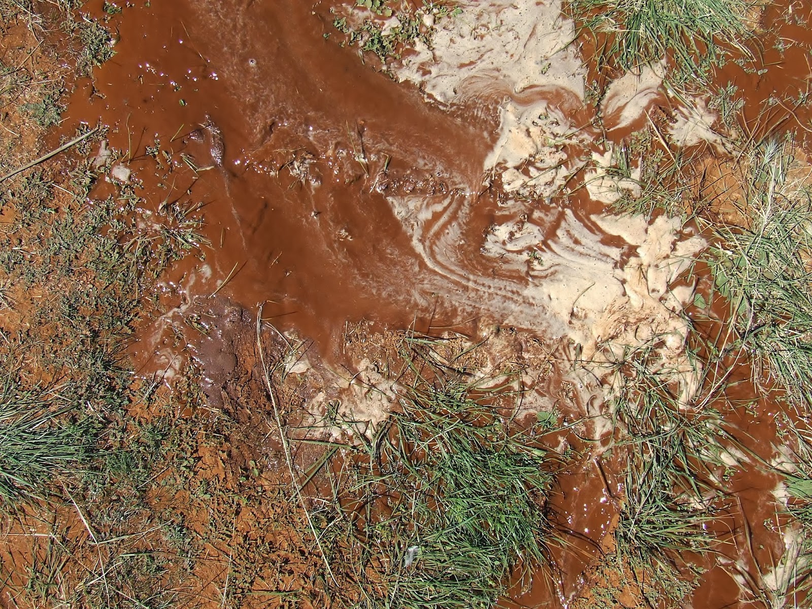 d r i n k s t e r: WATERFRONT - WHERE WATER MEETS LAND