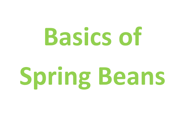 Basics of Spring Beans - Java Stack Flow