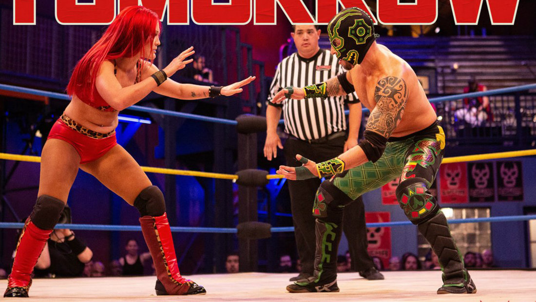Six Women Who Have Proved Intergender Wrestling Works Today