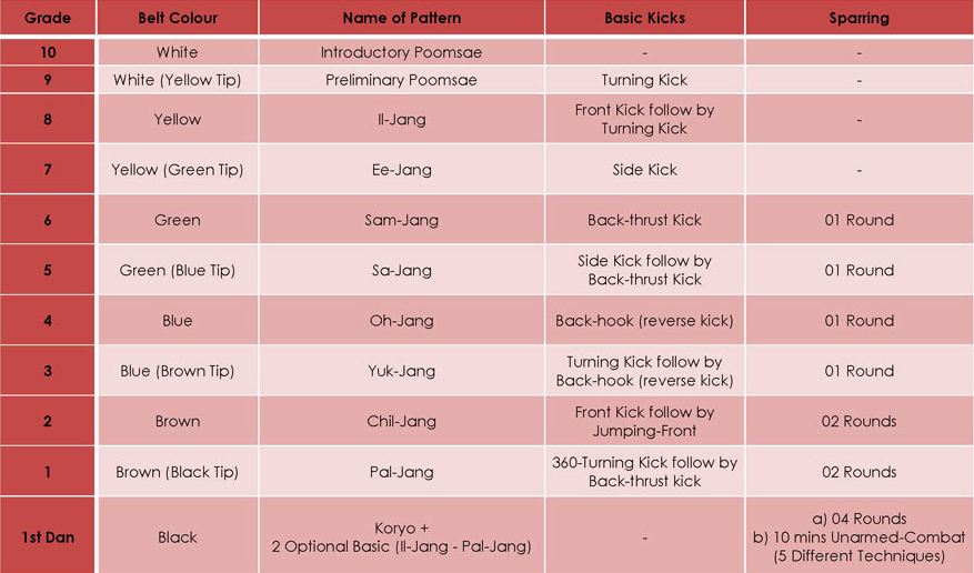 Martial Arts Revolution: Taekwondo- Poomsae (Pattern)