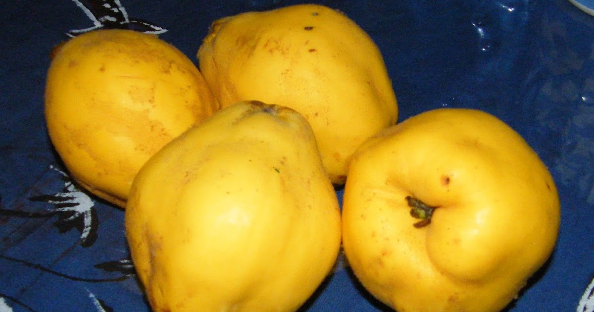 Que faire avec des Coings