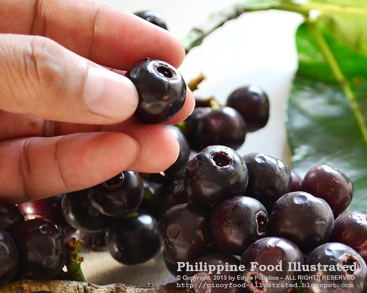 Philippine Food Illustrated: lipote