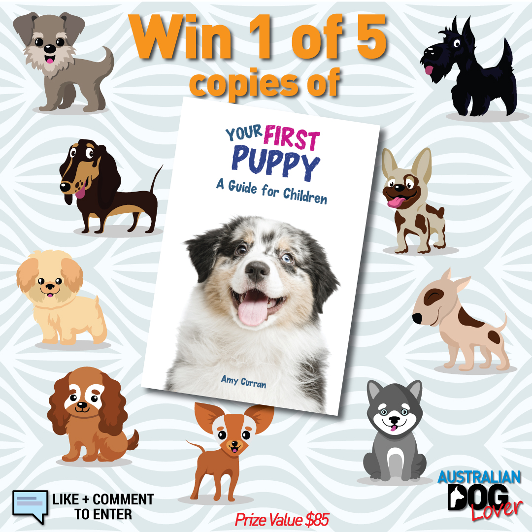 Win 1 of 5 'Your First Puppy' Book Competition | Australian Dog Lover