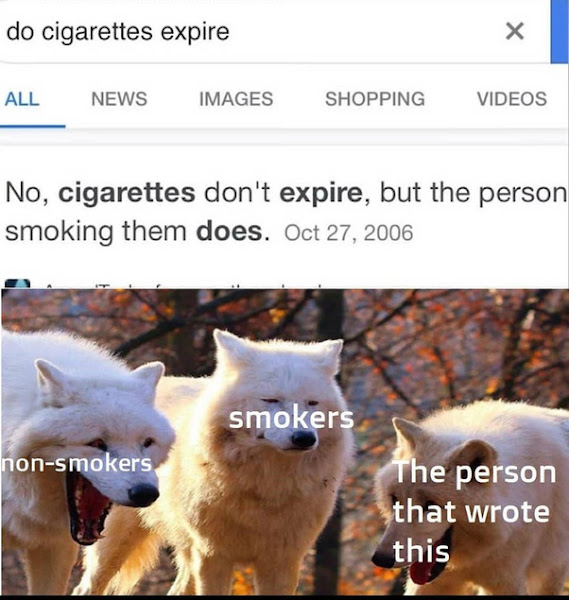 41 Memes Of The Best Trending Memes Vol.11