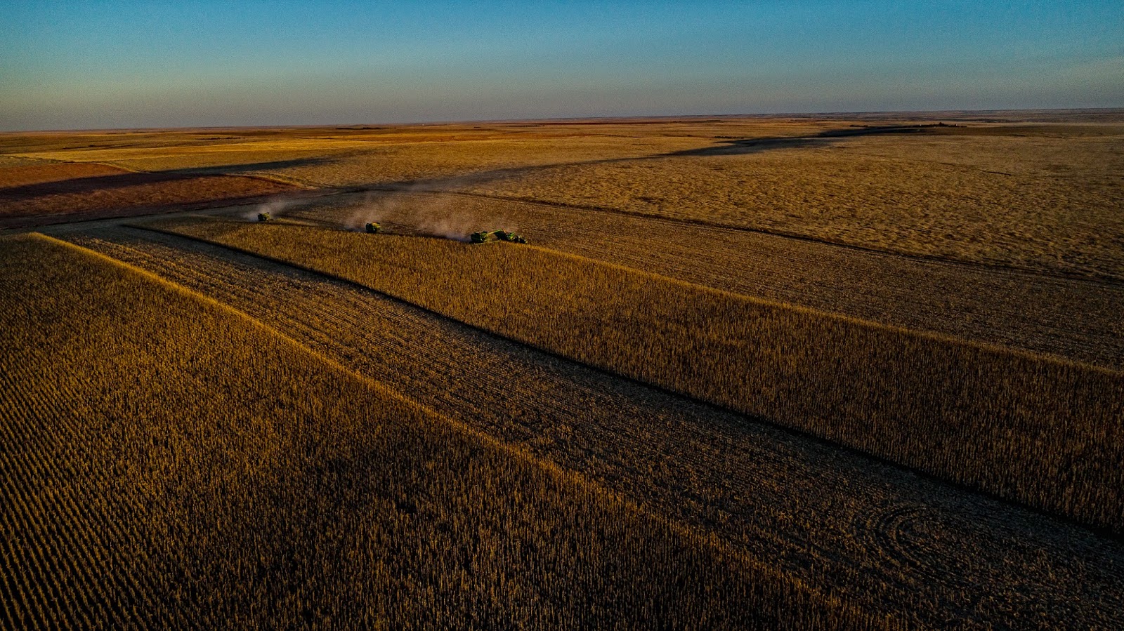 KEN REDDING Photographer