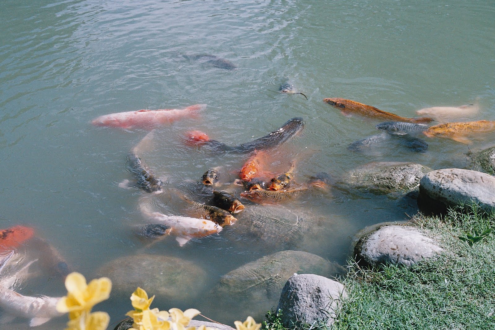 Metaforario: respirar