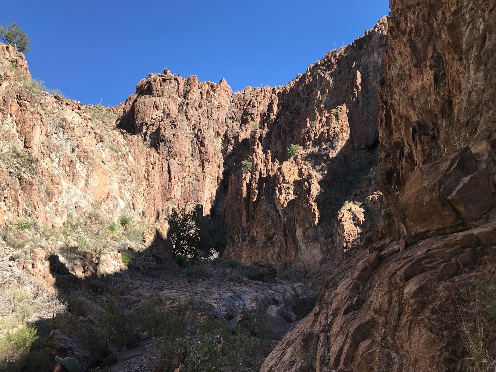 Southern New Mexico Explorer: North Fork Palomas Creek, lower box ...