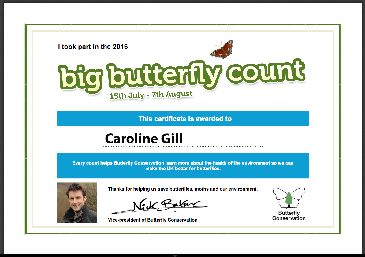 Wild and Wonderful: Butterflies and the 2016 Big Butterfly Count