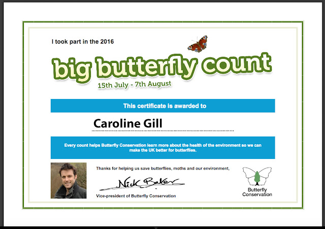 Wild and Wonderful: Butterflies and the 2016 Big Butterfly Count