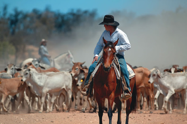 Outback Snack Australia: Mustering