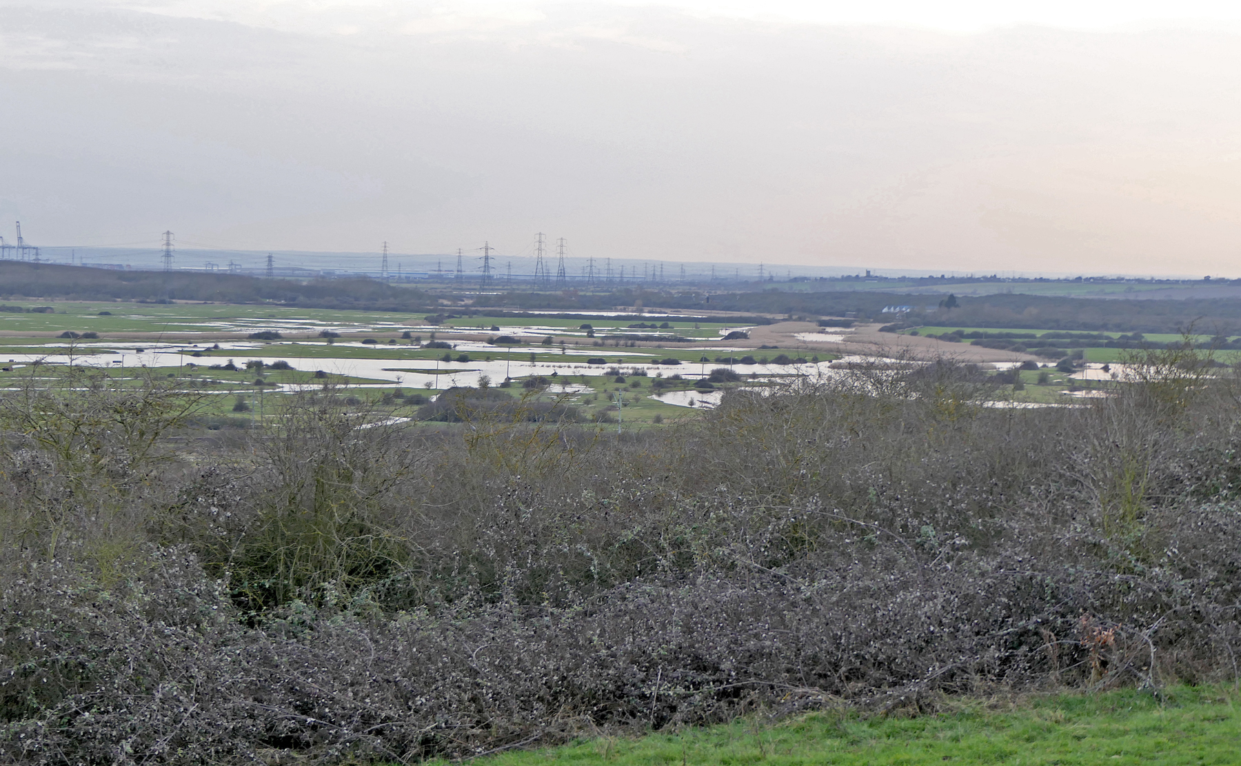 Bowers Marsh walk, February 2021 No. 8