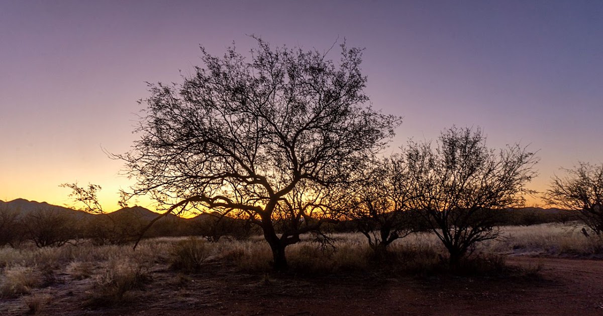 A Redleg's Rides : Uraling to Arivaca Lake, AZ