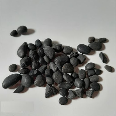 Harga Jual Pebble Stone Batu Sikat - TUKANG TAMAN SURABAYA