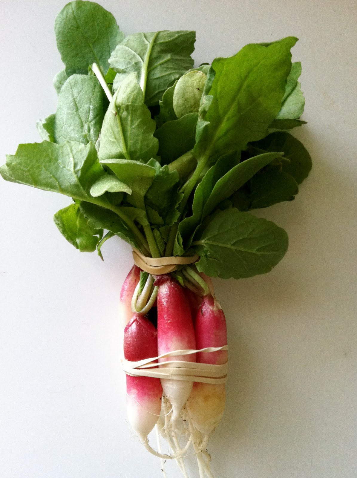 Slow Club Cookery.: Vegan Radish Greens Pesto