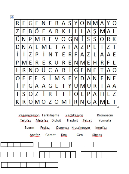 BÖLÜNMEDEN BİR ÇOĞALMA DÜŞÜNEMİYORUM..: BULMACALAR