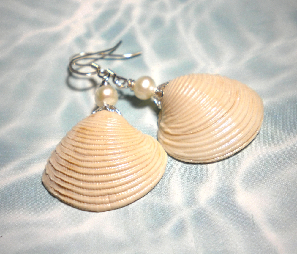 Del's Shells: New Seashell Earrings