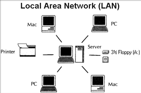 What is Network? Explain different types of Networks. ~ Acharya ...