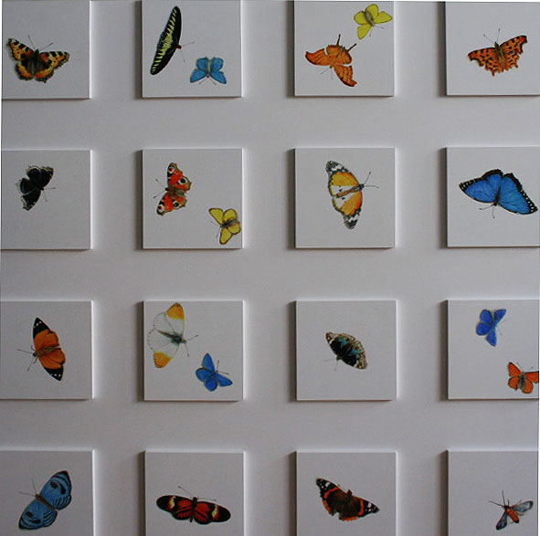 Peter Bekkers: Tableau Papillons