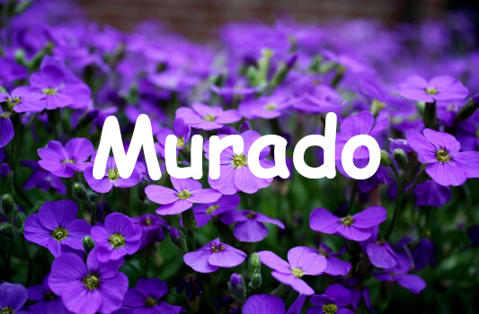 List of English and Tagalog Names of Colors - Filipino Parenting