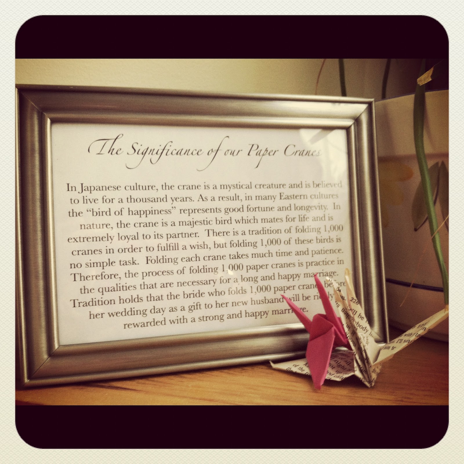 Savvy Beauty: My Summer on Instagram!