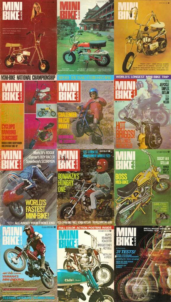 MOTORCYCHO: MiniBike Guide