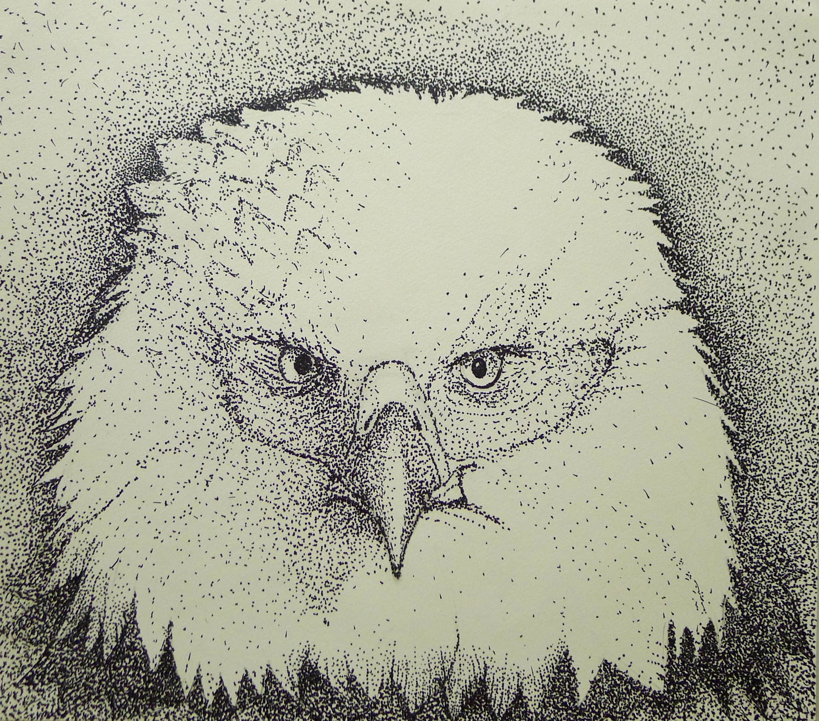 Amanda Caucci Art Instructor: Stippling Work