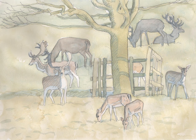 Wildlife Drawing Journal