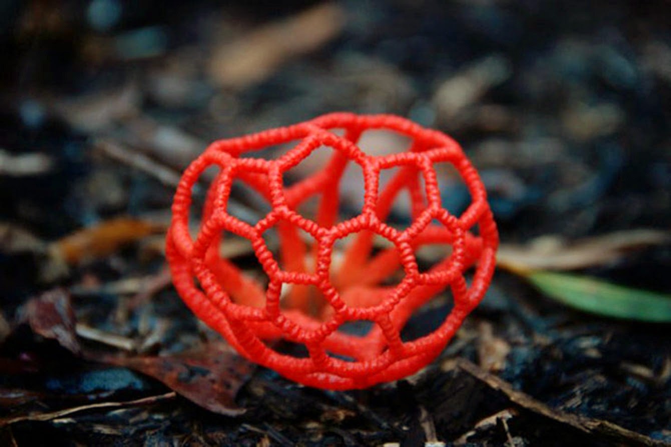 Clathrus Ruber | Earth Blog
