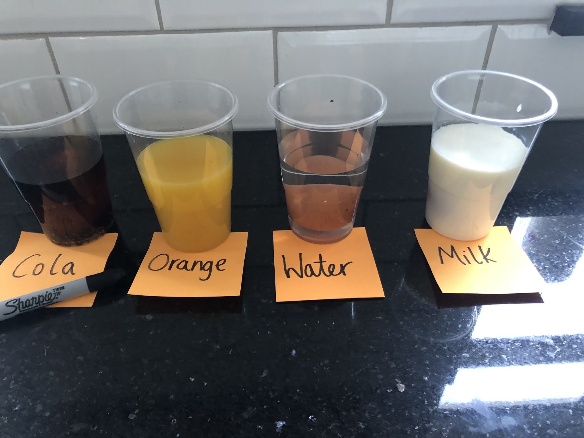 Bannockburn Primary: Year 4 Science Experiments At Home!