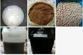 Berita TV Malaysia: Begini Cara Buat Baja Nitrogen Dari Air Kelapa ...