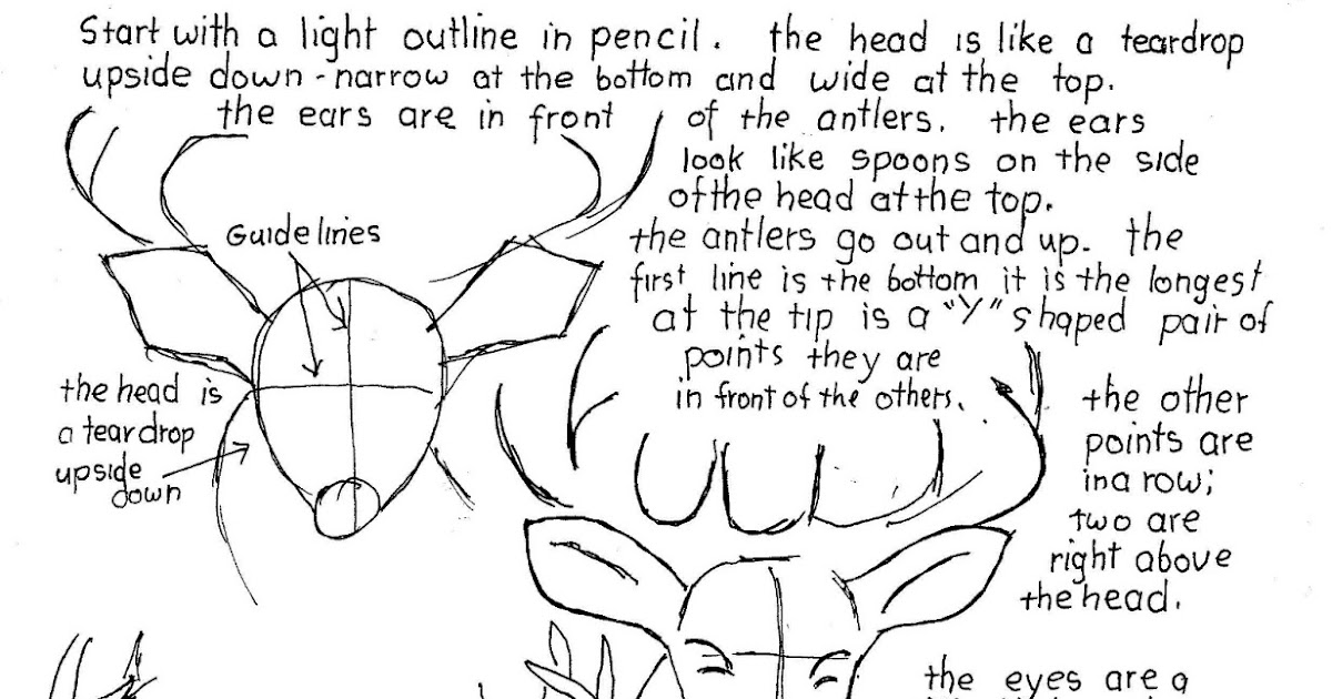 How to Draw Worksheets for The Young Artist: How To Draw a Buck Deer ...