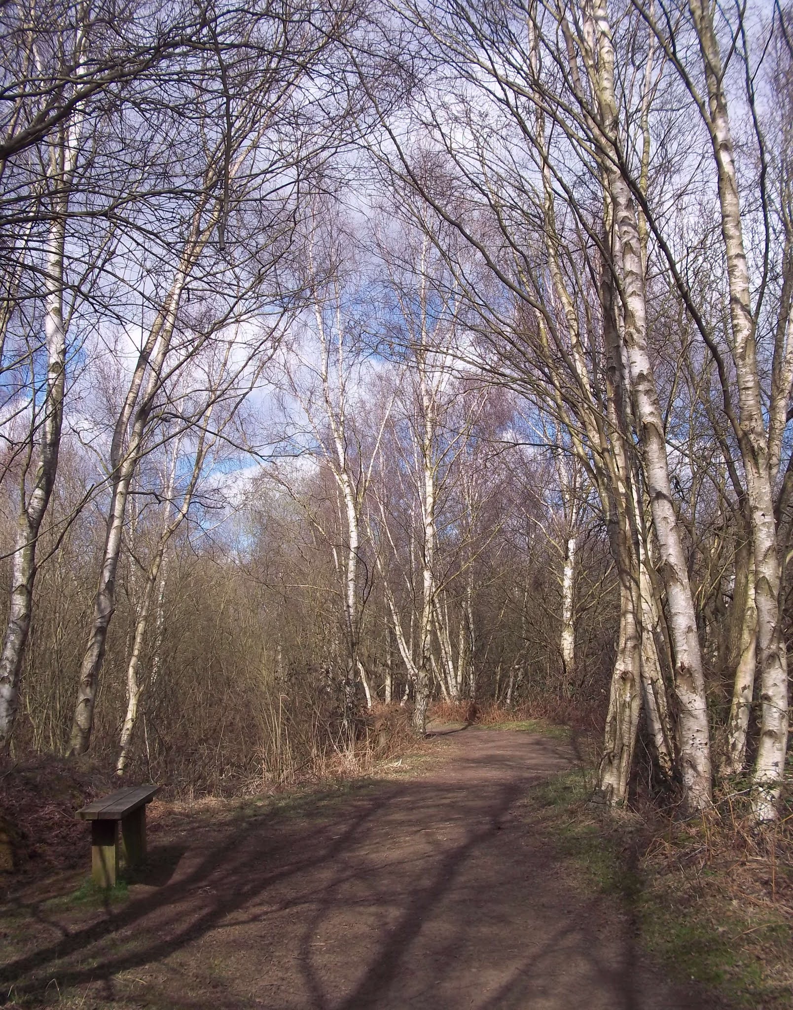 Walking The Peak: Hatfield Moors Nature Reserve