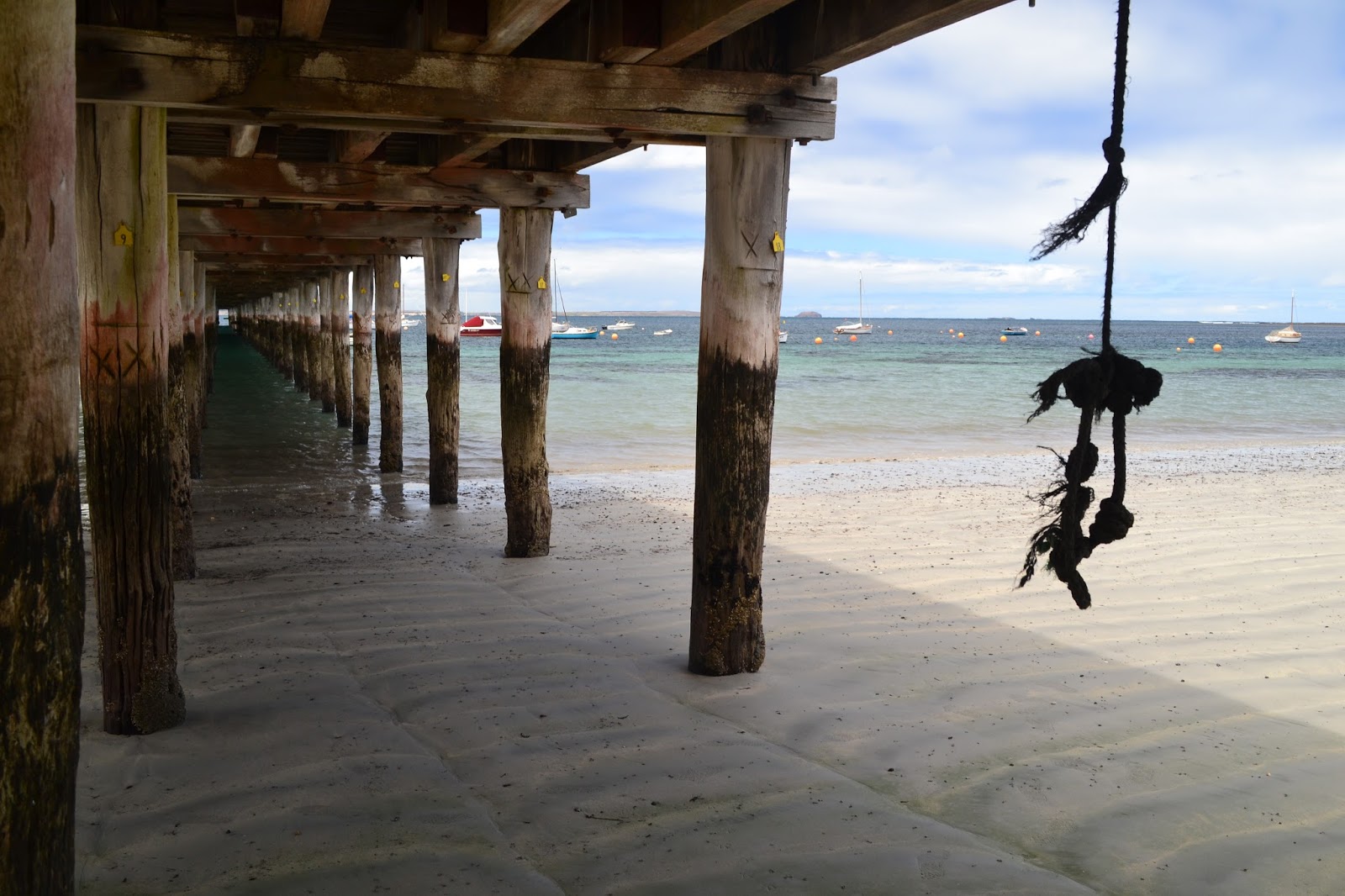 Goin' Feral One Day At A Time: Flinders Jetty to West Head - February 2016
