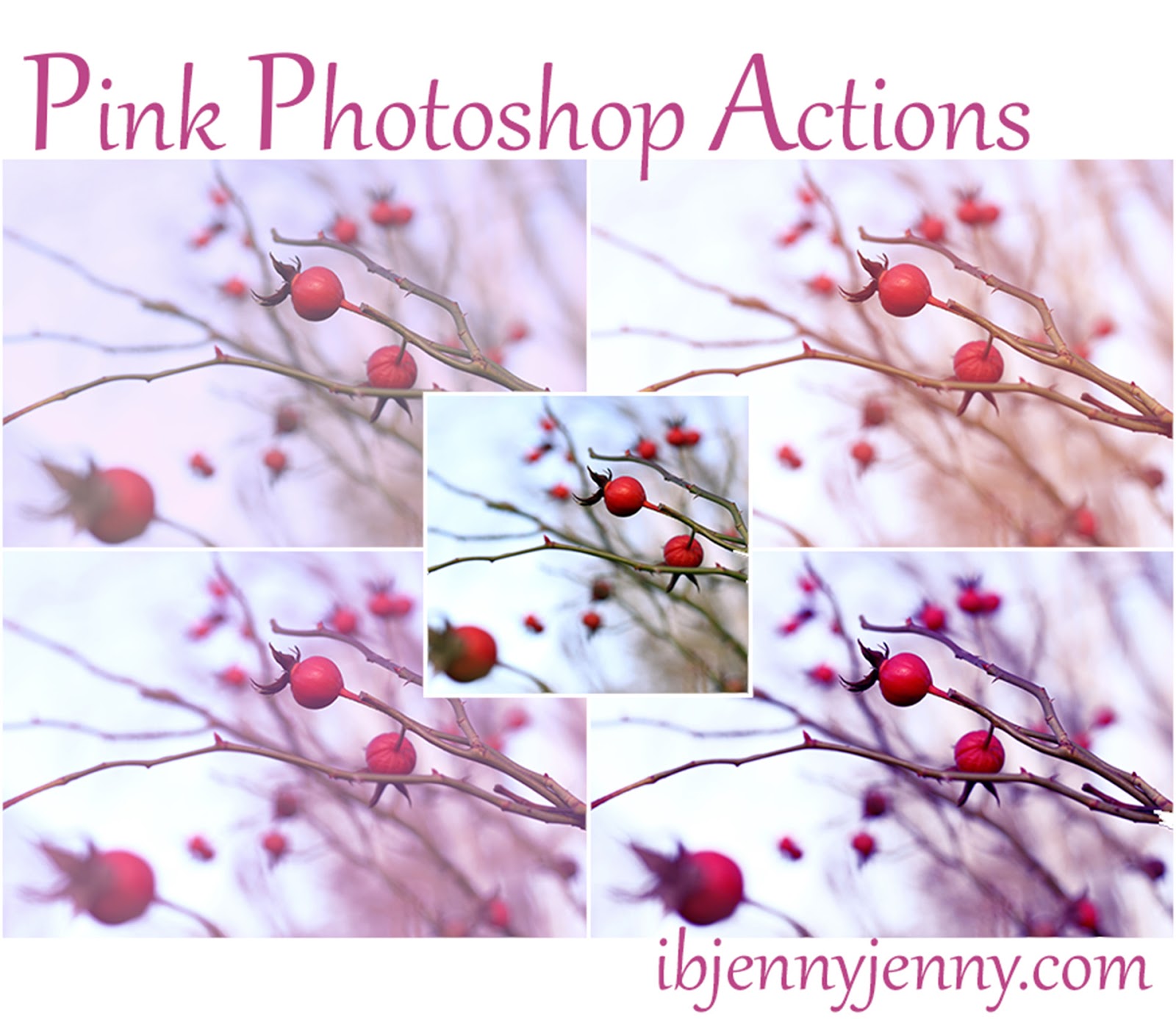 Free Pink Photoshop Actions | ibjennyjenny Free Resources
