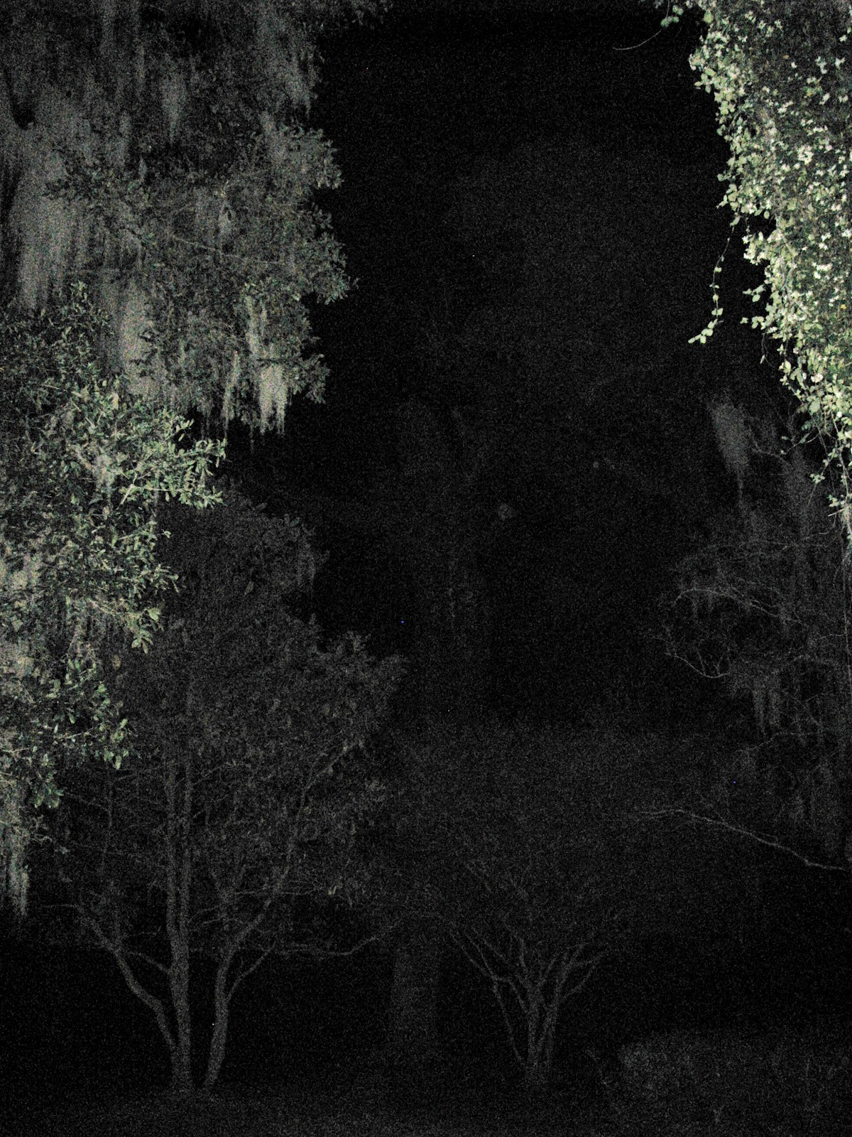 Hallows Outpost: Myrtles Plantation Ghosts