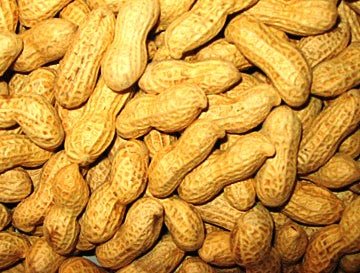 Cocinas y Recetas: Las irresistibles manías. Columna Regaliz, Siglo 21