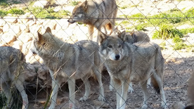 ASOCIACIÓN: 1/04/16 - 1/05/16