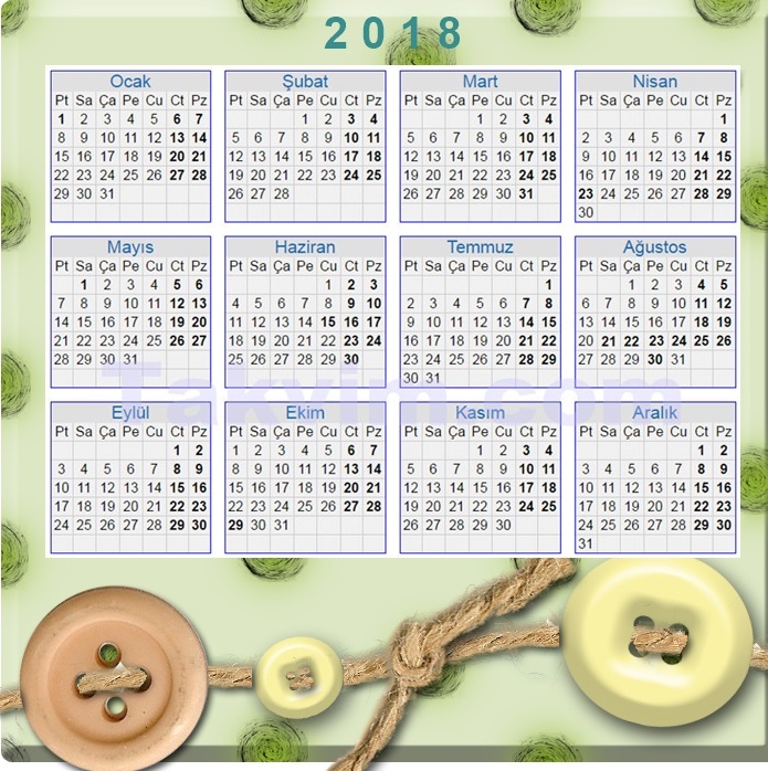 BANUCA BİRŞEYLER: 2017