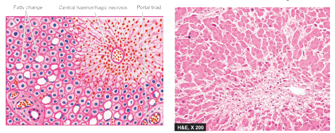 Q world Blog: Identify slides