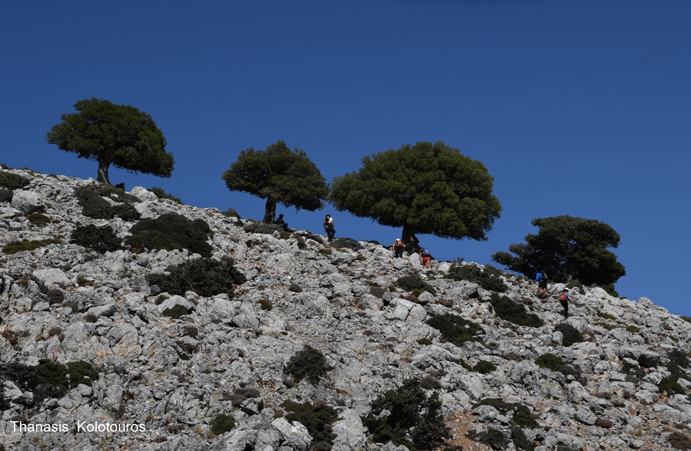 ΟΡΕΙΒΑΤΙΚΟΣ ΣΥΛΛΟΓΟΣ ΑΓΙΟΥ ΝΙΚΟΛΑΟΥ: ΑΝΑΒΑΣΗ στον ΑΦΕΝΤΗ ΧΡΙΣΤΟ της ΔΙΚΤΗΣ