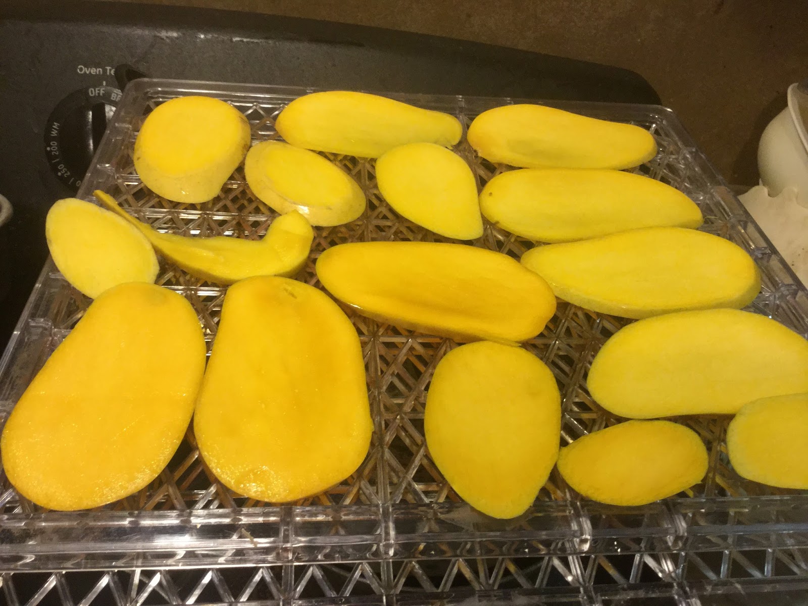 Countrified Hicks Dehydrating Ataulfo Honey Mango