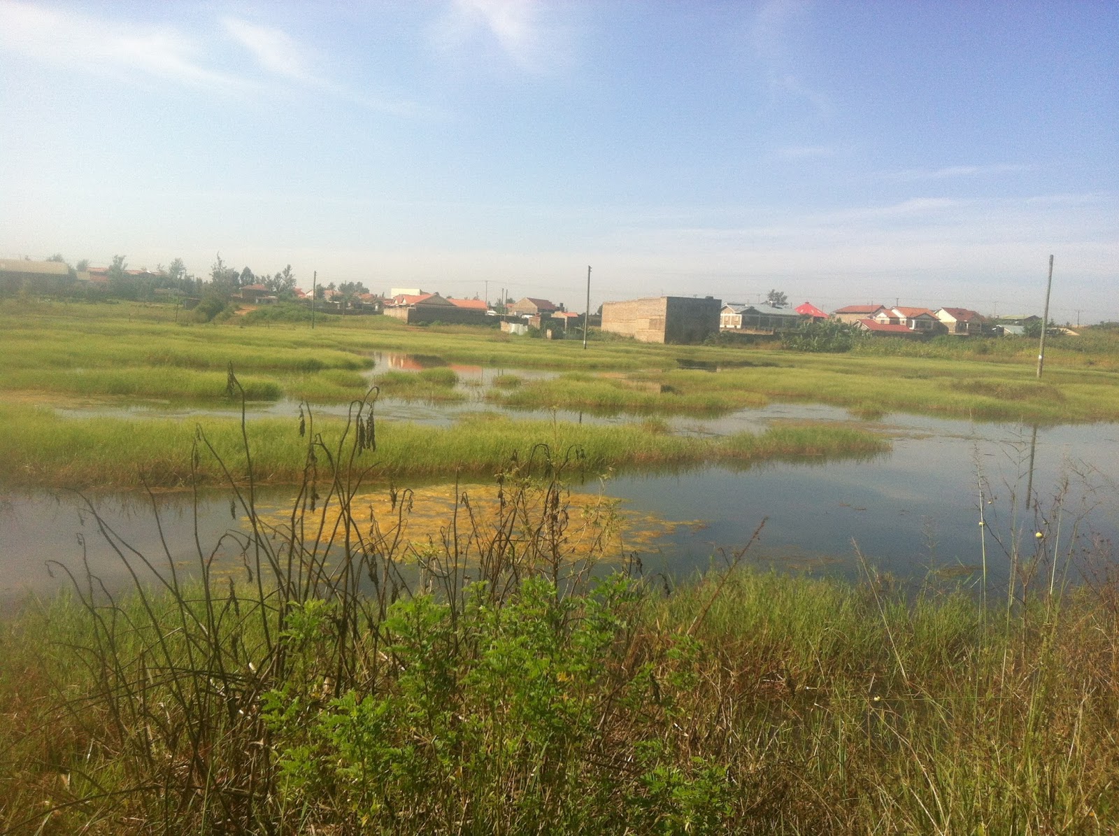 The Poor State Of Roads Now becoming a Real Concern To Ngoingwa ...