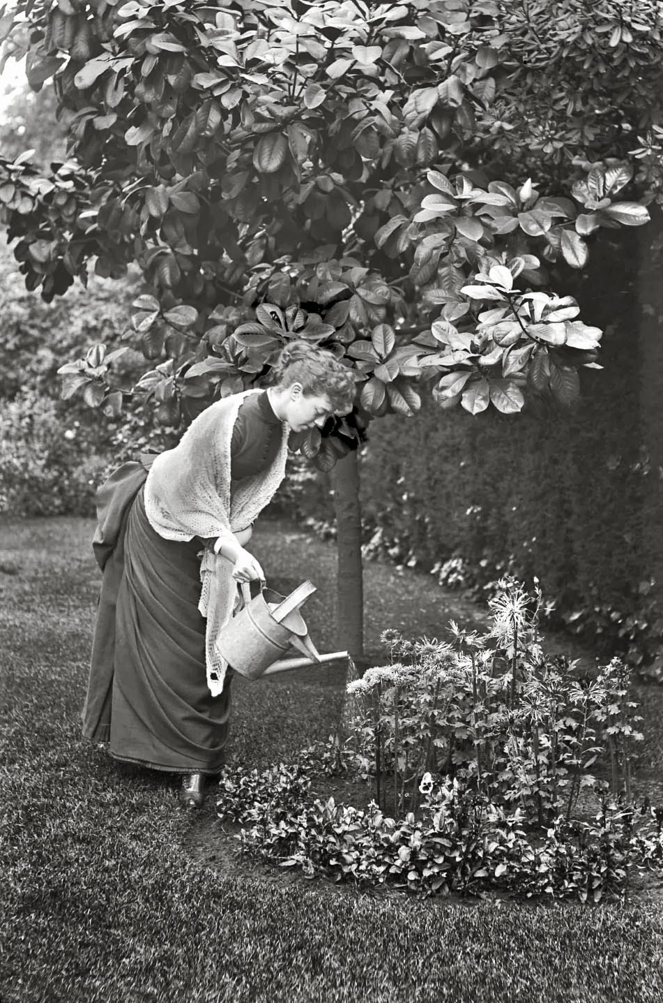 History in Photos: William Letts Oliver