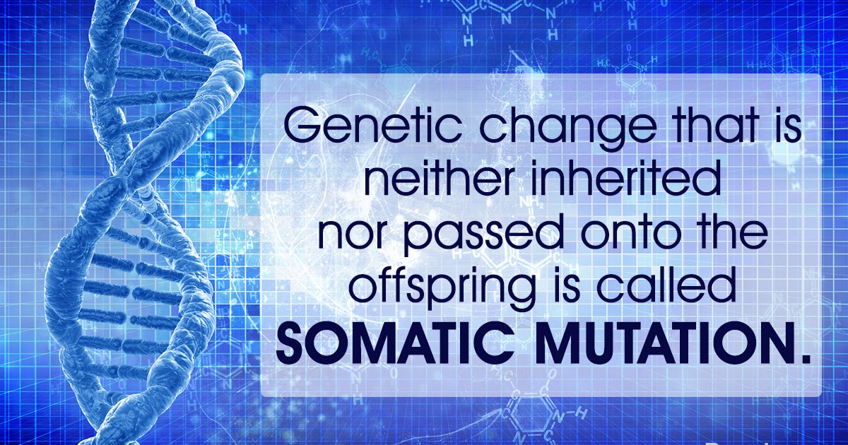 EXAMS AND ME : Somatic Mutation Theory
